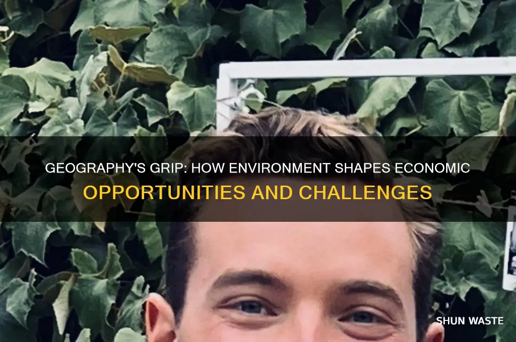 Geography's Grip: How Environment Shapes Economic Opportunities And ...