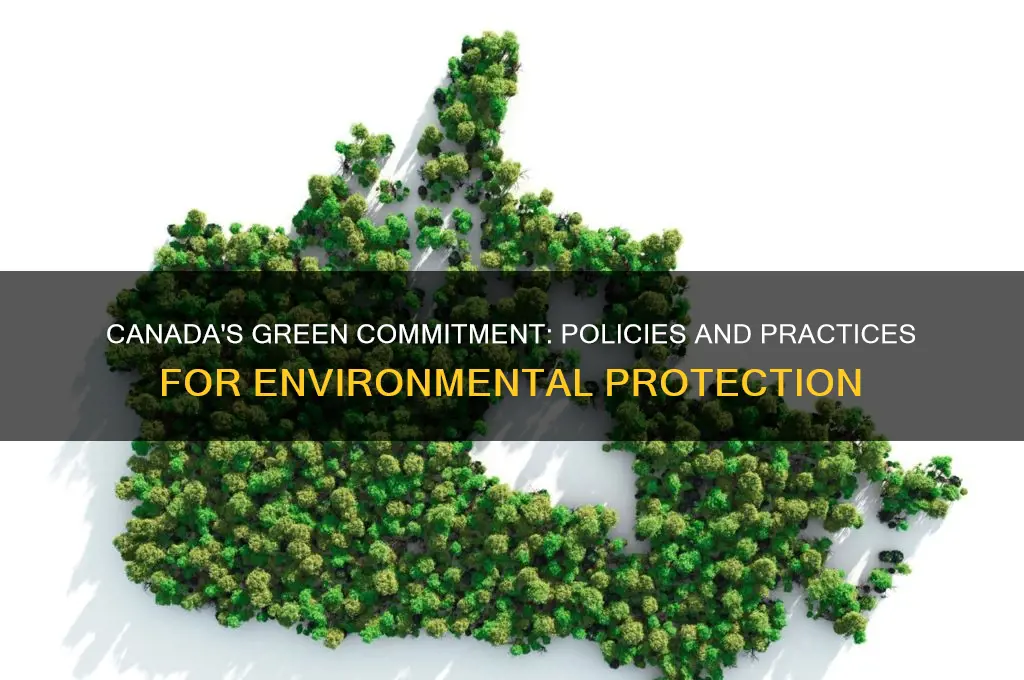 Canada's Green Commitment: Policies And Practices For Environmental ...