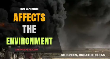 Tourism's Dark Side: Environmental Impacts And Sustainable Solutions ...