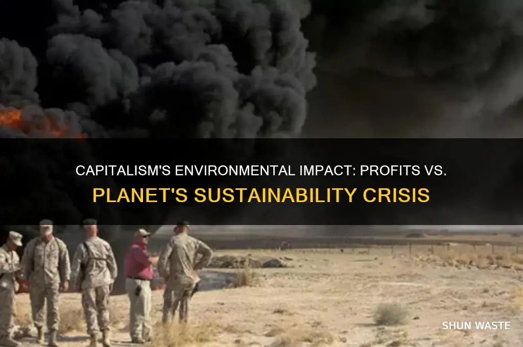 Capitalism's Environmental Impact: Profits Vs. Planet's Sustainability ...