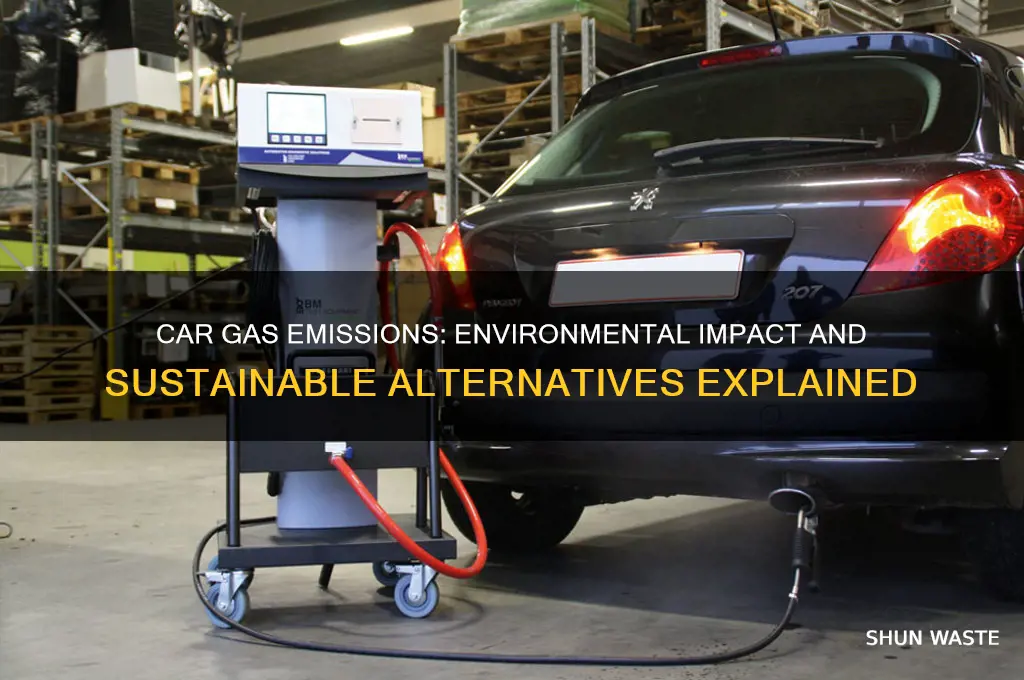 Car Gas Emissions: Environmental Impact And Sustainable Alternatives ...