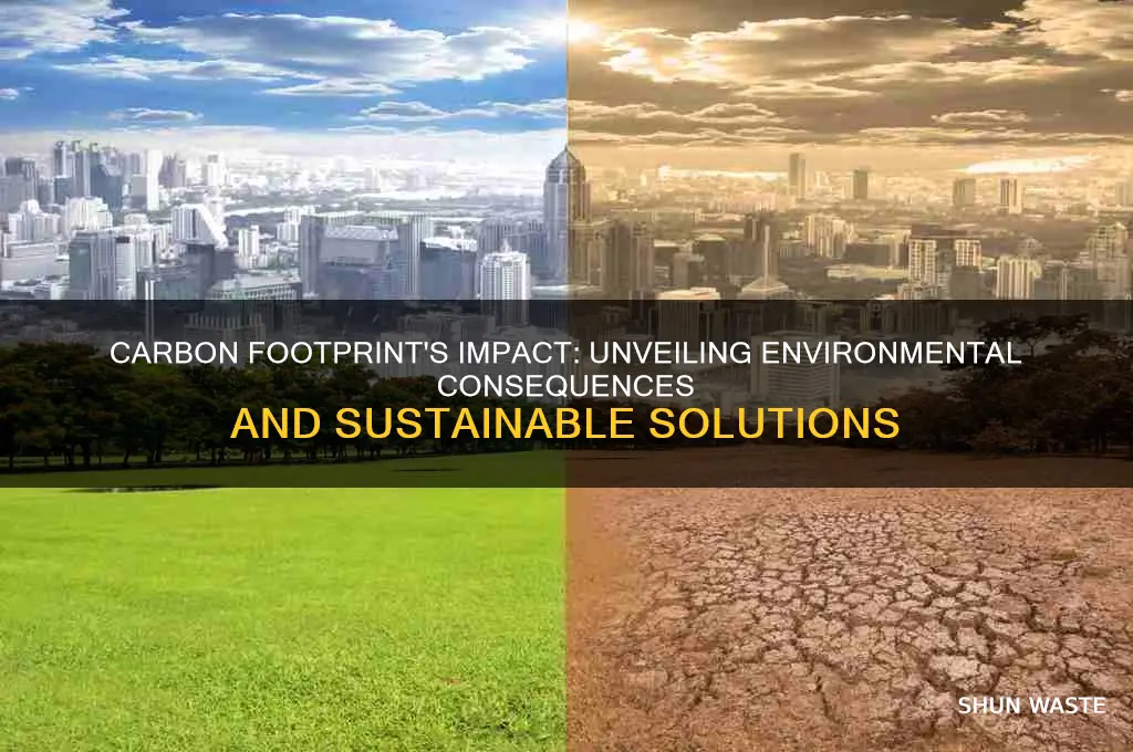 Carbon Footprint's Impact: Unveiling Environmental Consequences And ...