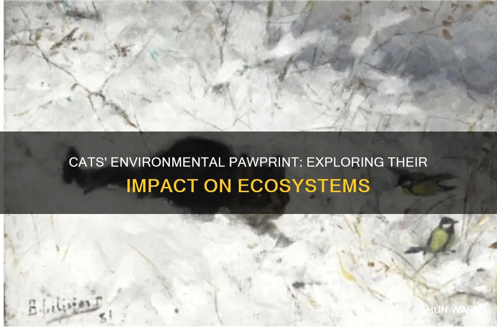 Cats' Environmental Pawprint: Exploring Their Impact On Ecosystems ...