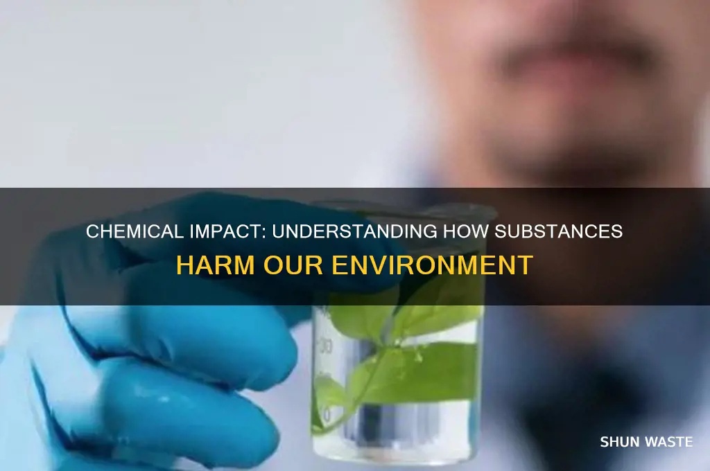 Chemical Impact: Understanding How Substances Harm Our Environment ...