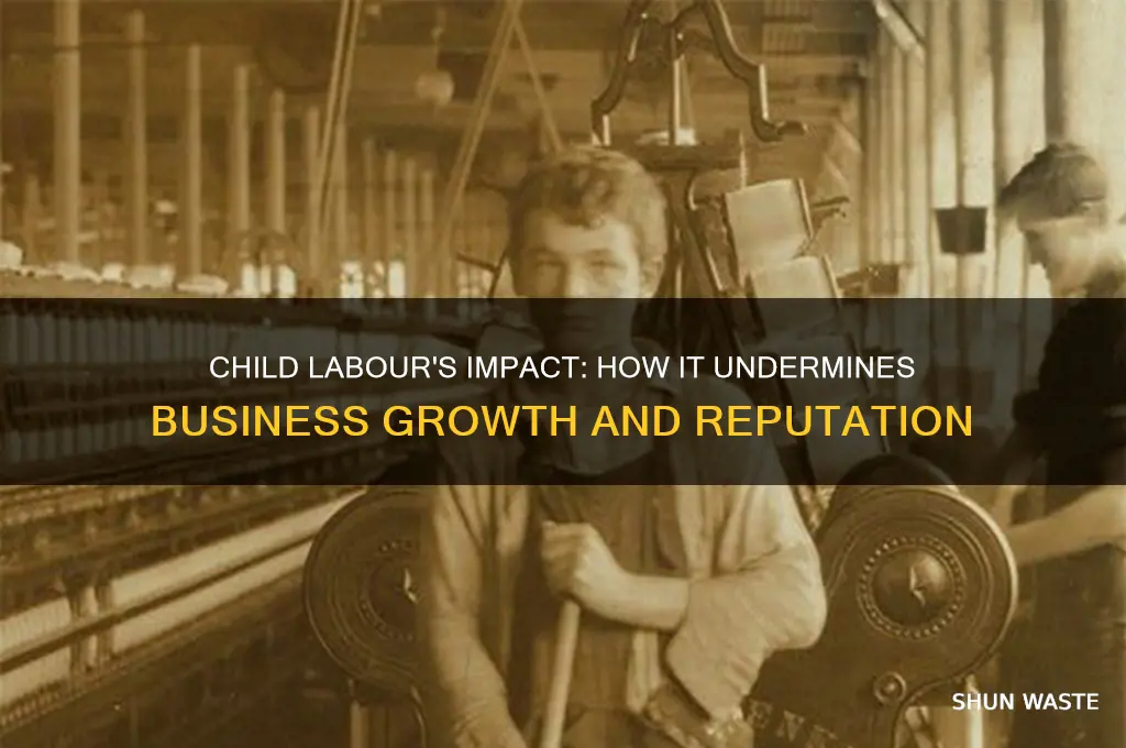 Child Labour's Impact: How It Undermines Business Growth And Reputation ...