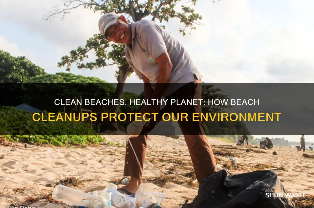 Clean Beaches, Healthy Planet: How Beach Cleanups Protect Our ...