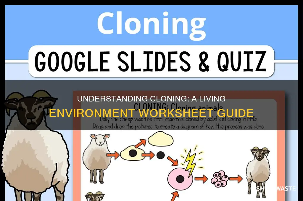 Understanding Cloning: A Living Environment Worksheet Guide | ShunWaste