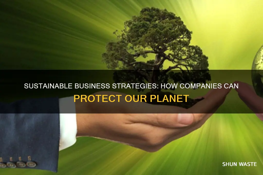 Sustainable Business Strategies: How Companies Can Protect Our Planet ...