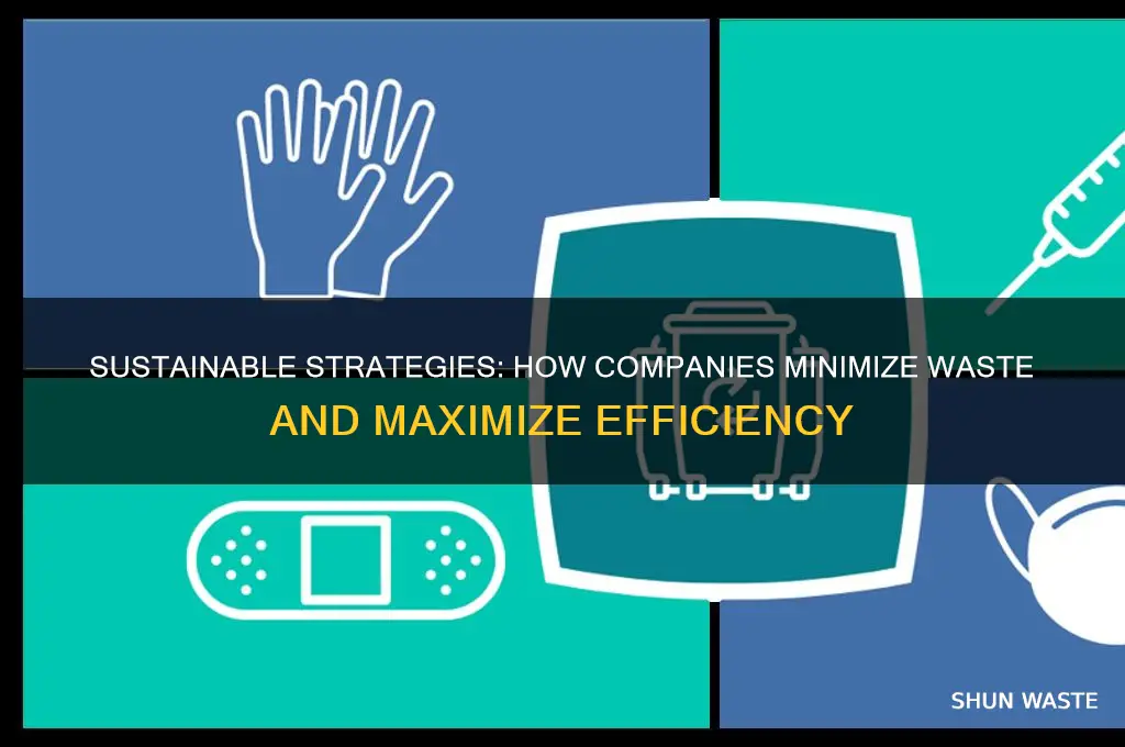 Sustainable Strategies: How Companies Minimize Waste And Maximize ...