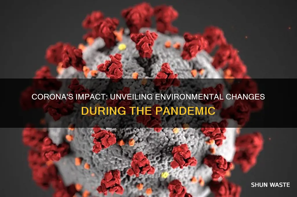 Corona's Impact: Unveiling Environmental Changes During The Pandemic ...