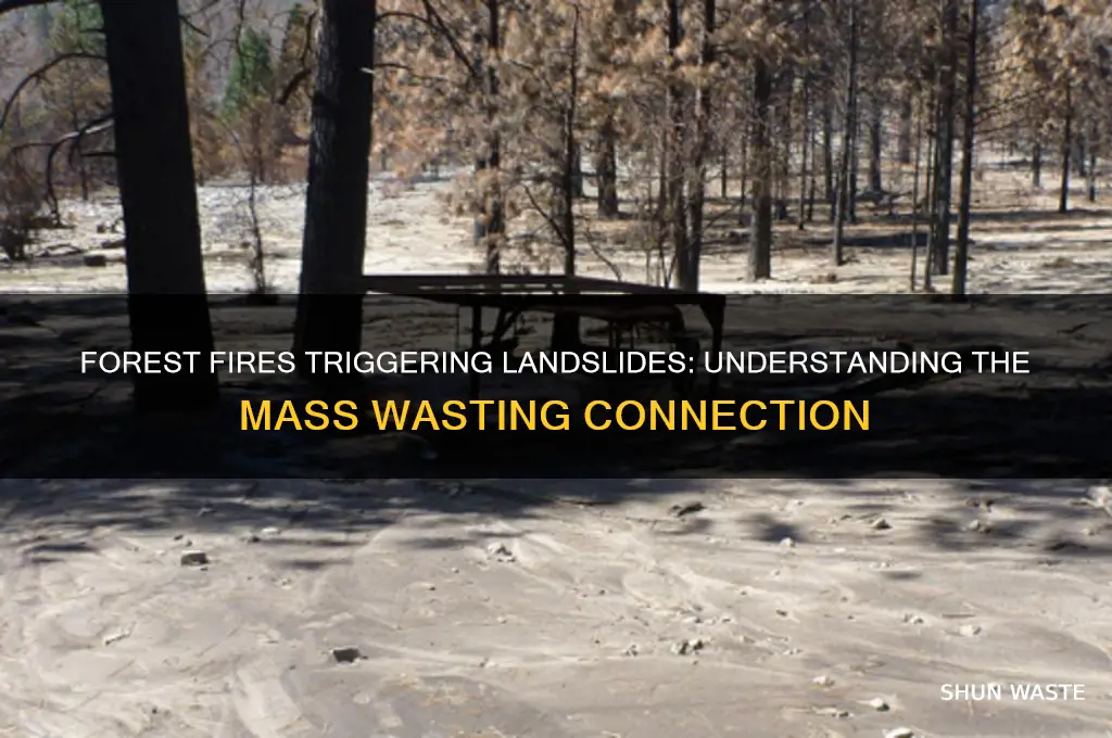 Forest Fires Triggering Landslides: Understanding The Mass Wasting ...