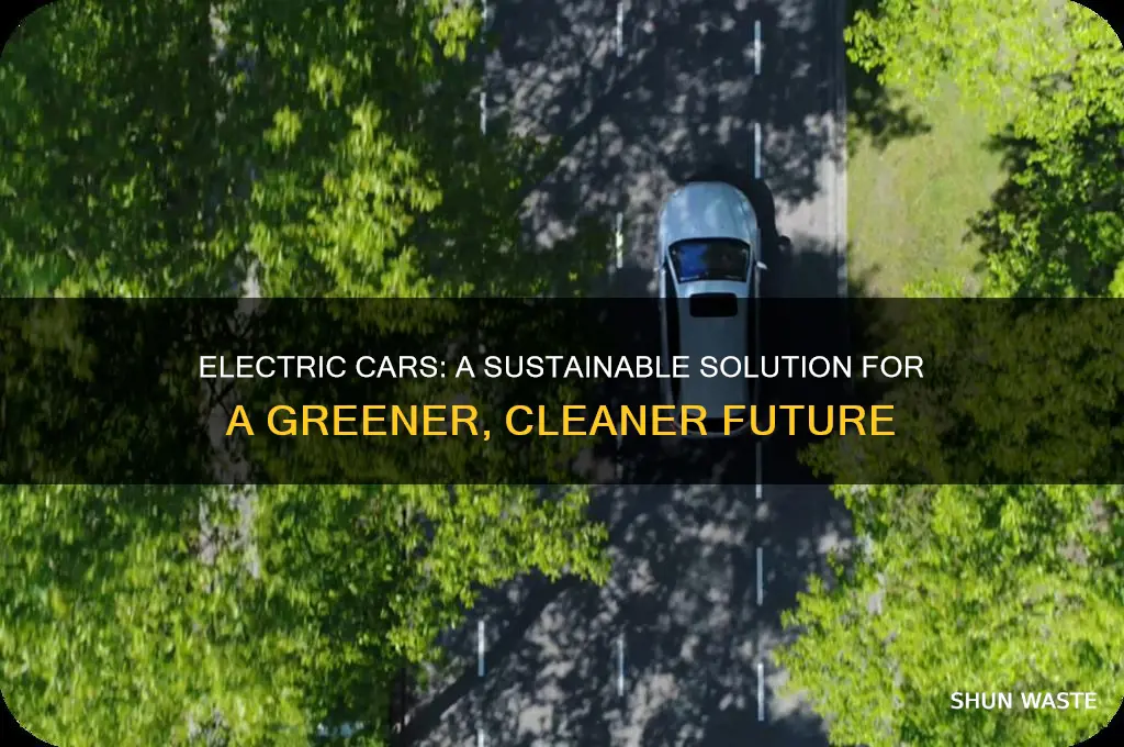 Electric Cars: A Sustainable Solution For A Greener, Cleaner Future ...