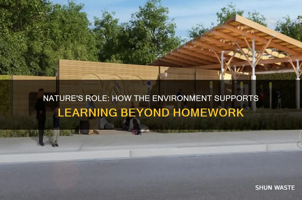 Nature's Role: How The Environment Supports Learning Beyond Homework ...