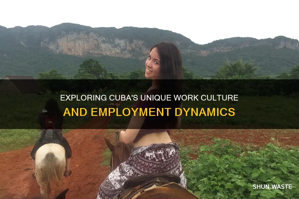 Exploring Cuba's Unique Work Culture And Employment Dynamics | ShunWaste
