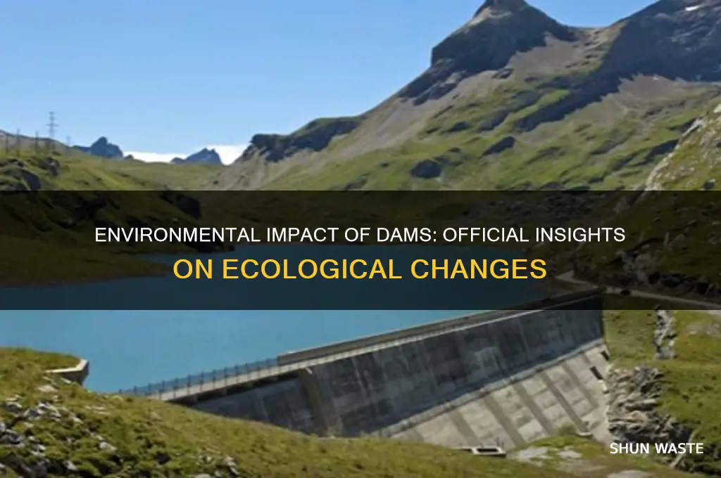 Environmental Impact Of Dams: Official Insights On Ecological Changes ...