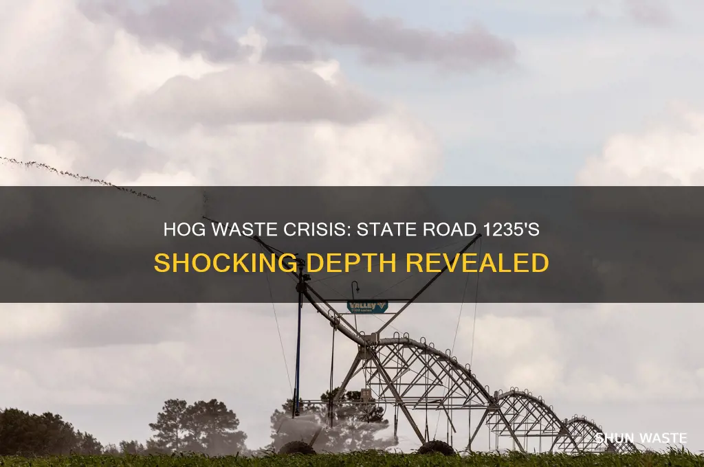 Hog Waste Crisis: State Road 1235'S Shocking Depth Revealed | ShunWaste