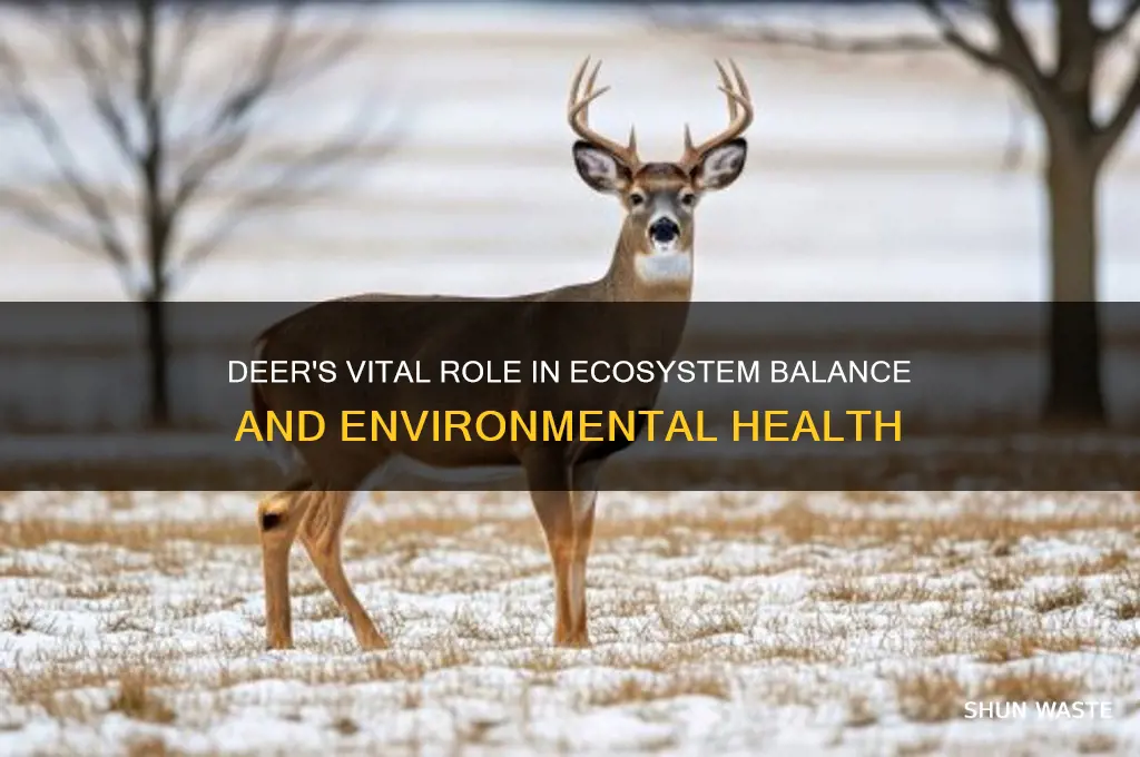 Deer's Vital Role In Ecosystem Balance And Environmental Health | ShunWaste