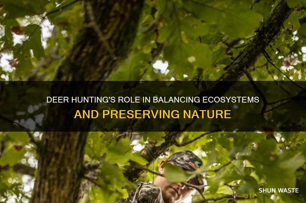 Deer Hunting's Role In Balancing Ecosystems And Preserving Nature ...