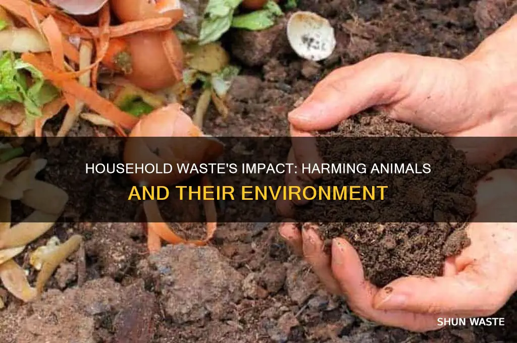 Household Waste's Impact: Harming Animals And Their Environment | ShunWaste
