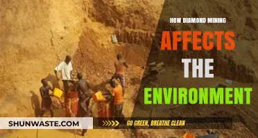 Colonialism's Environmental Legacy: Destruction, Exploitation, And ...
