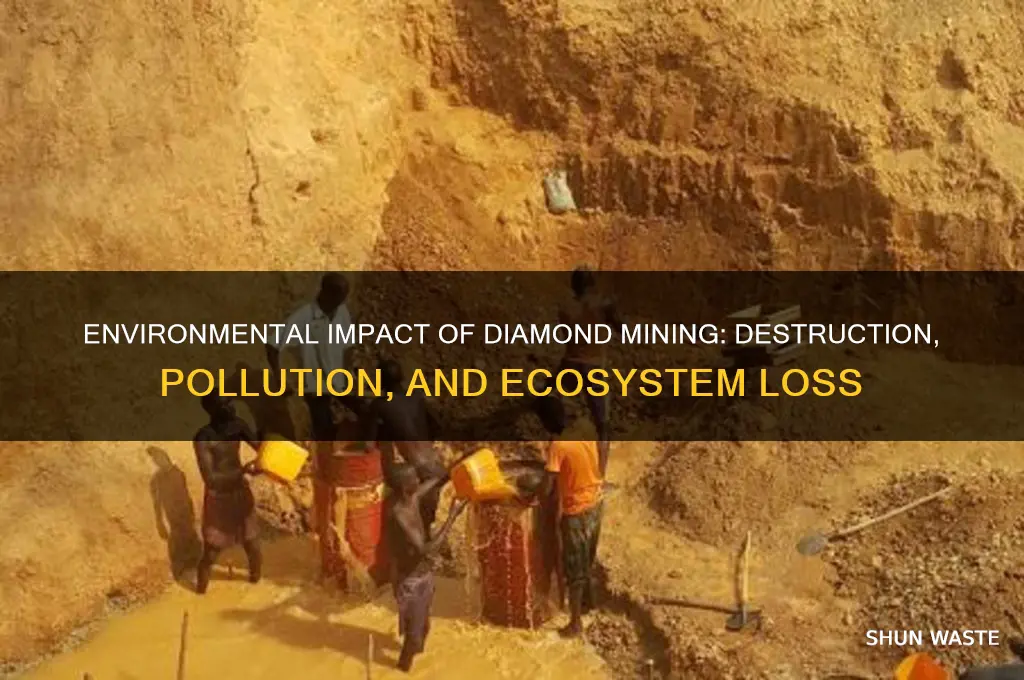Environmental Impact Of Diamond Mining: Destruction, Pollution, And ...