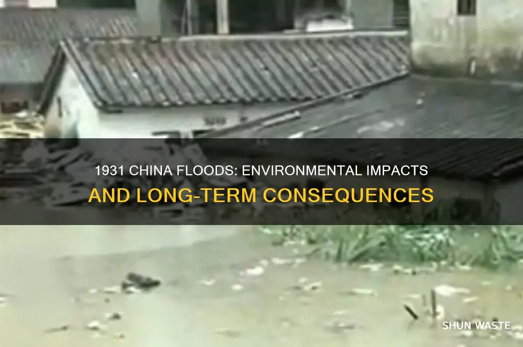 1931 China Floods: Environmental Impacts And Long-Term Consequences ...