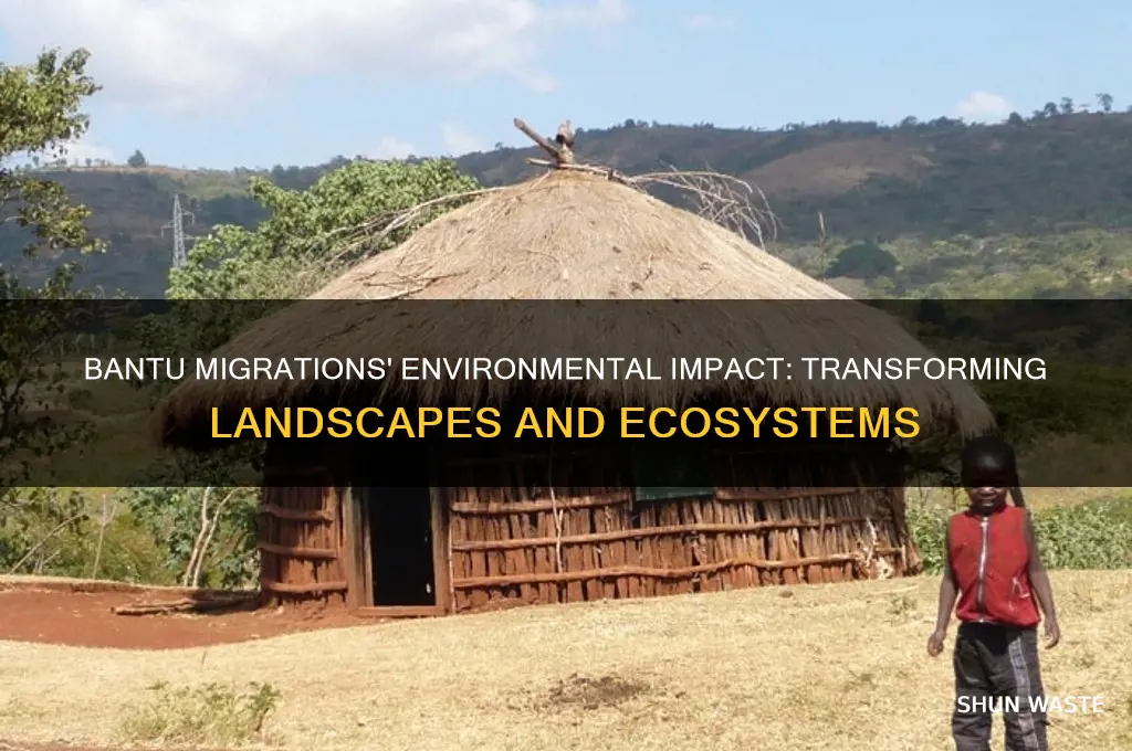 Bantu Migrations' Environmental Impact: Transforming Landscapes And ...