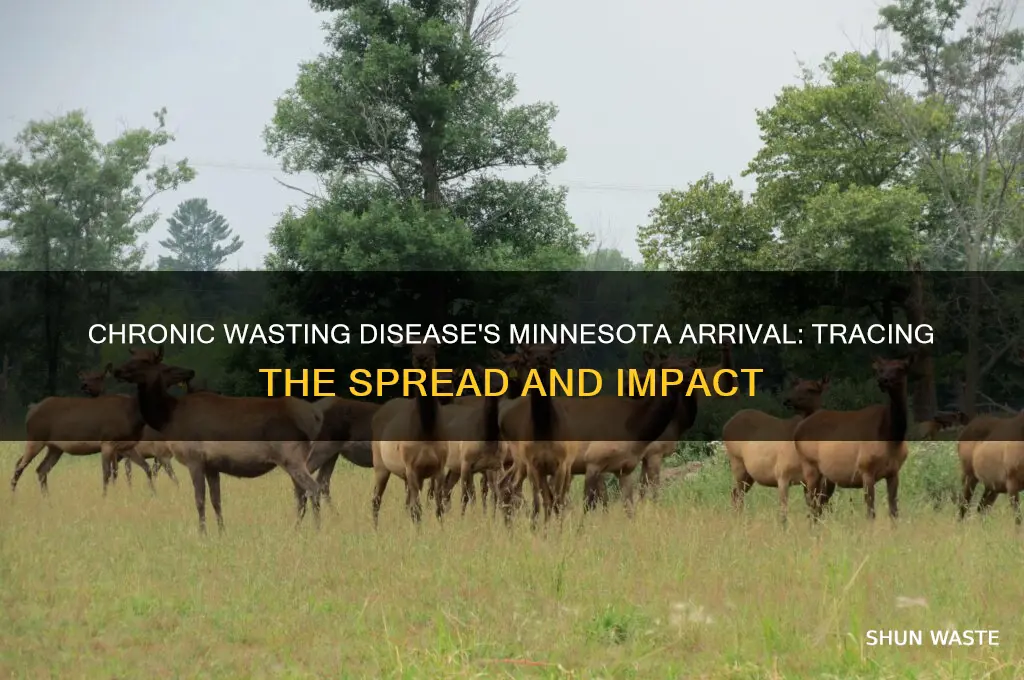 Chronic Wasting Disease's Minnesota Arrival: Tracing The Spread And ...