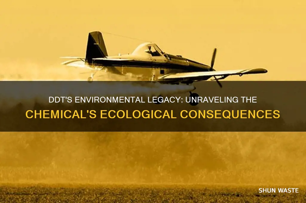 Ddt's Environmental Legacy: Unraveling The Chemical's Ecological ...