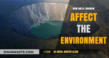 Colonialism's Environmental Legacy: Destruction, Exploitation, And ...