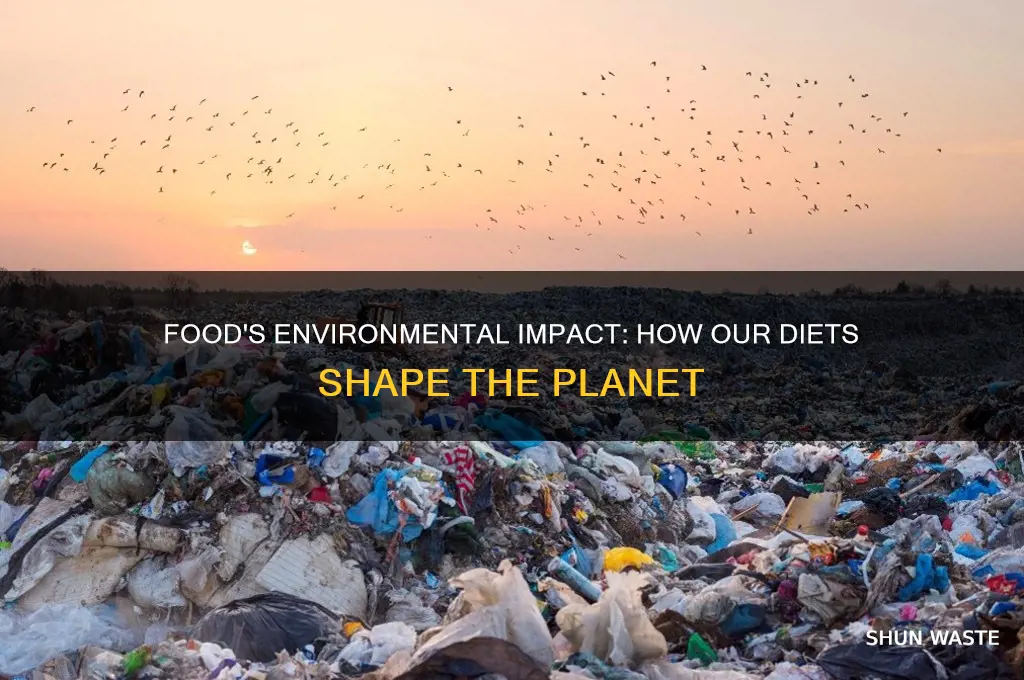 Food's Environmental Impact: How Our Diets Shape The Planet | ShunWaste
