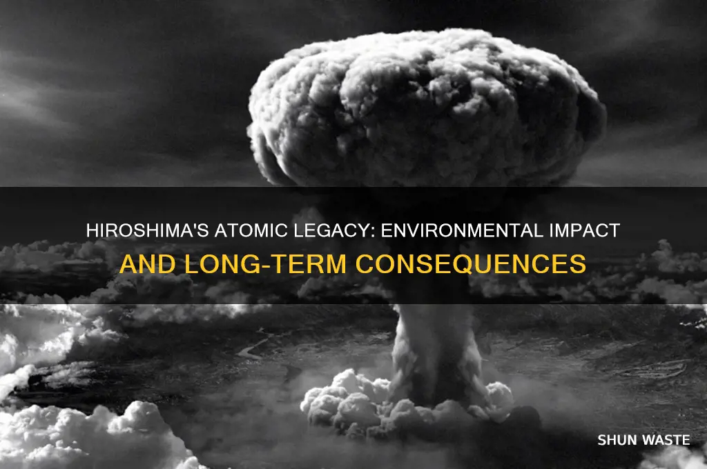 Hiroshima's Atomic Legacy: Environmental Impact And Long-Term ...