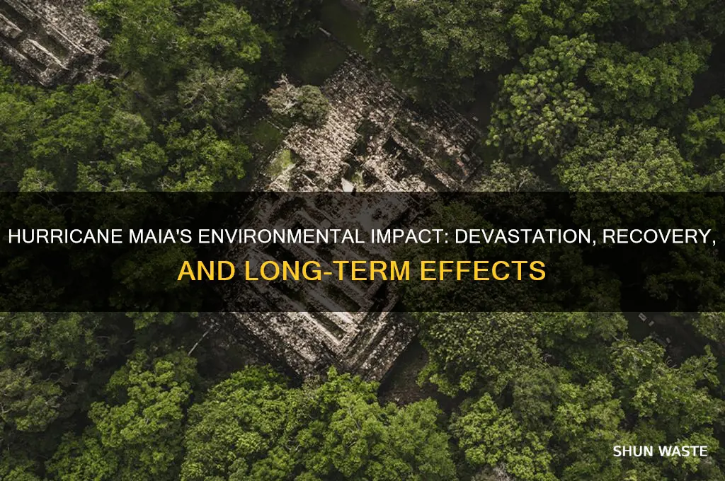 Hurricane Maia's Environmental Impact: Devastation, Recovery, And Long ...