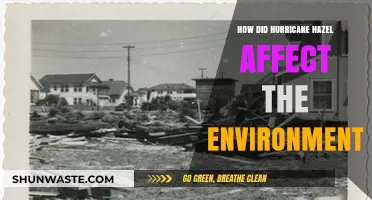 Hurricane Matthew's Environmental Impact: Devastation, Recovery, And ...