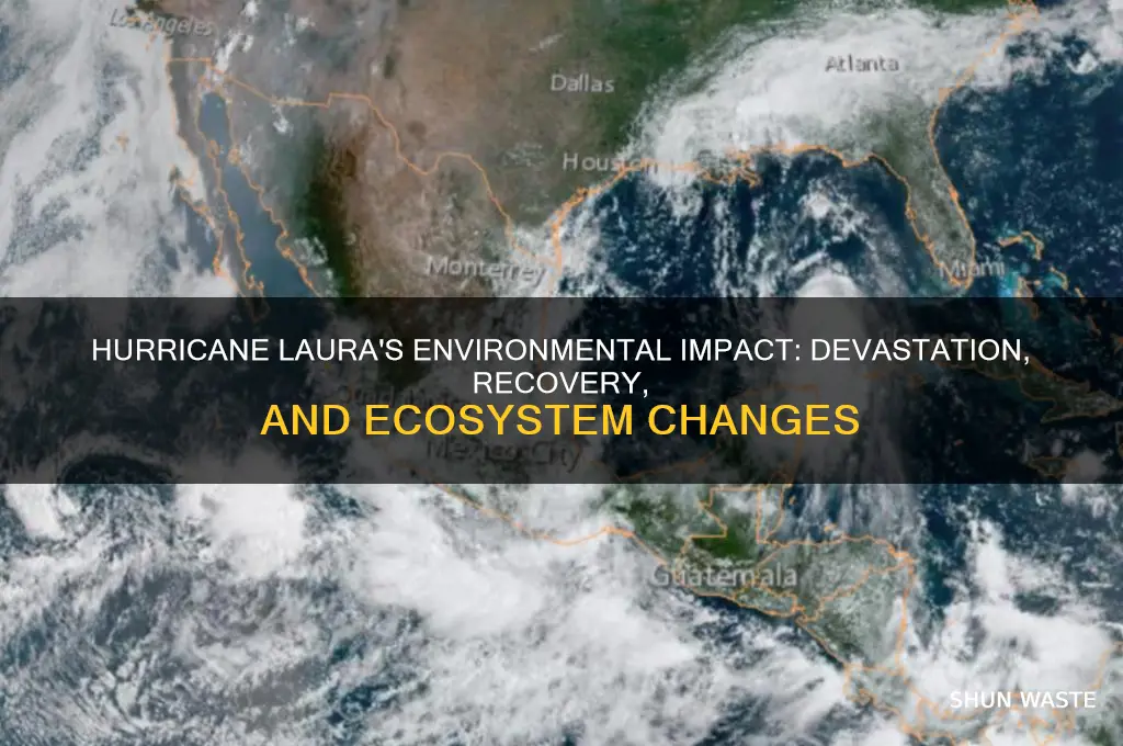 Hurricane Laura's Environmental Impact: Devastation, Recovery, And ...