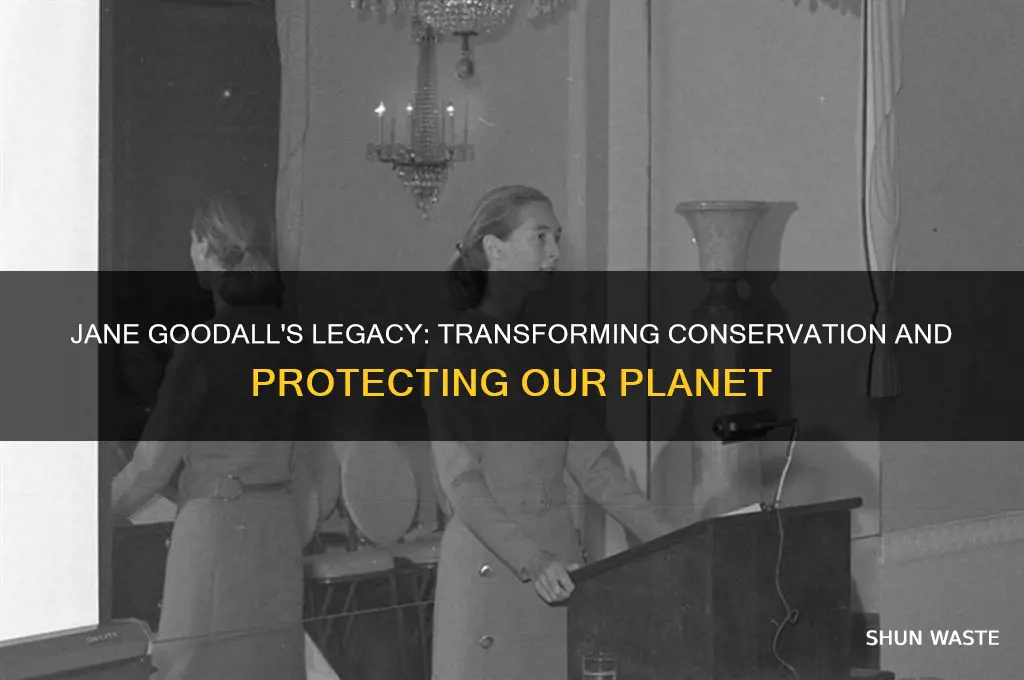 Jane Goodall's Legacy: Transforming Conservation And Protecting Our ...