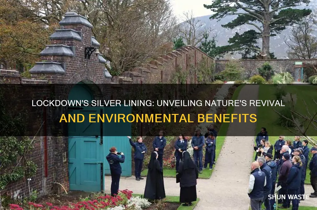 Lockdown's Silver Lining: Unveiling Nature's Revival And Environmental ...