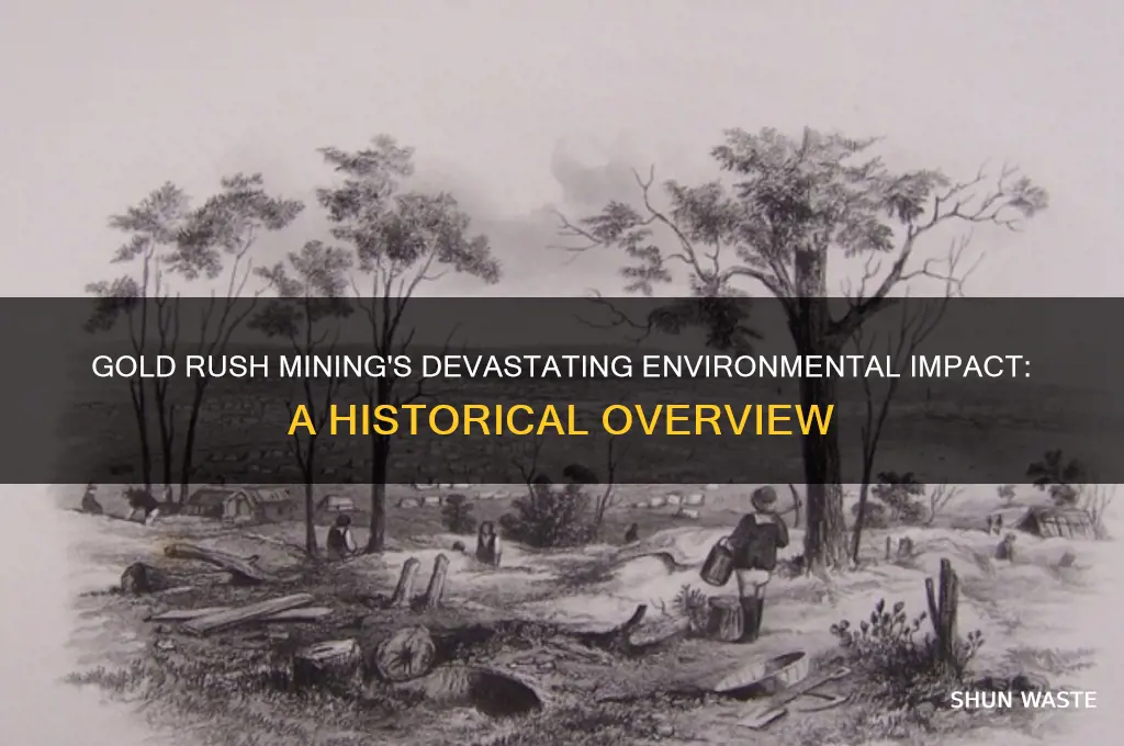 Gold Rush Mining's Devastating Environmental Impact: A Historical ...