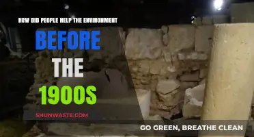 Greenpeace's Impact: Transforming Environmental Conservation Through ...