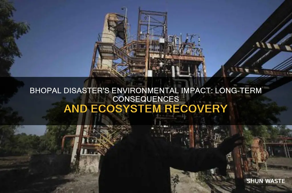 Bhopal Disaster's Environmental Impact: Long-Term Consequences And ...