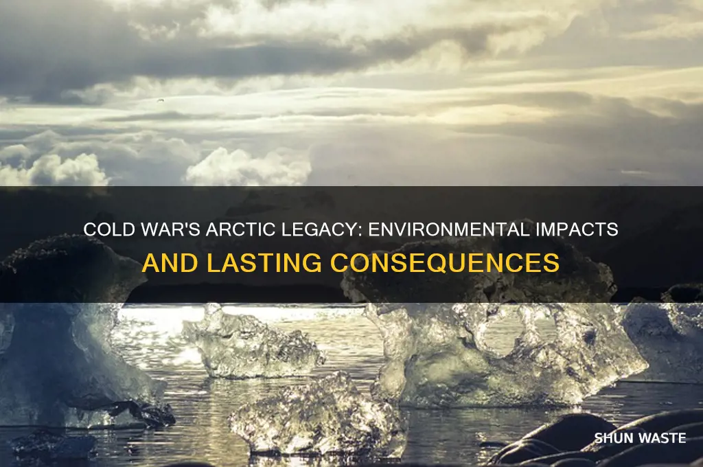 Cold War's Arctic Legacy: Environmental Impacts And Lasting ...
