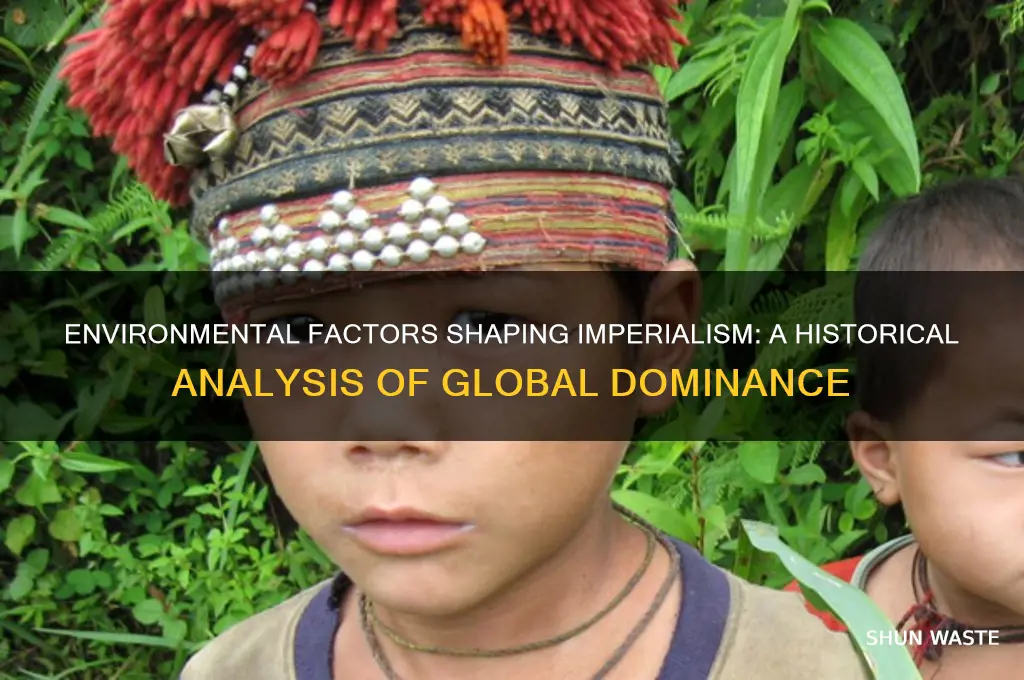 Environmental Factors Shaping Imperialism: A Historical Analysis Of ...