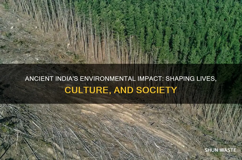 Ancient India's Environmental Impact: Shaping Lives, Culture, And ...