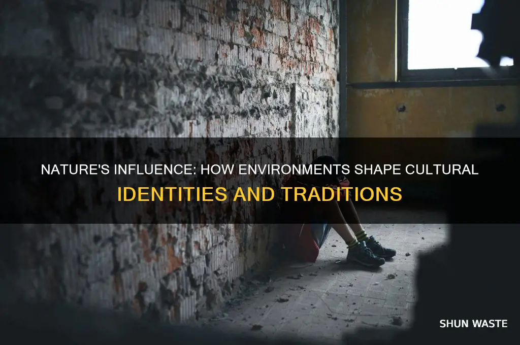 Nature's Influence: How Environments Shape Cultural Identities And ...