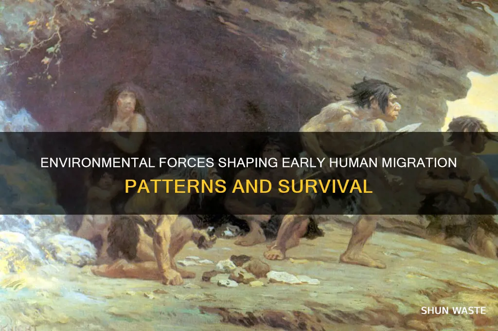 Environmental Forces Shaping Early Human Migration Patterns And ...