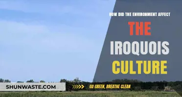 Mesopotamia's Environmental Influence: Shaping Civilization And ...