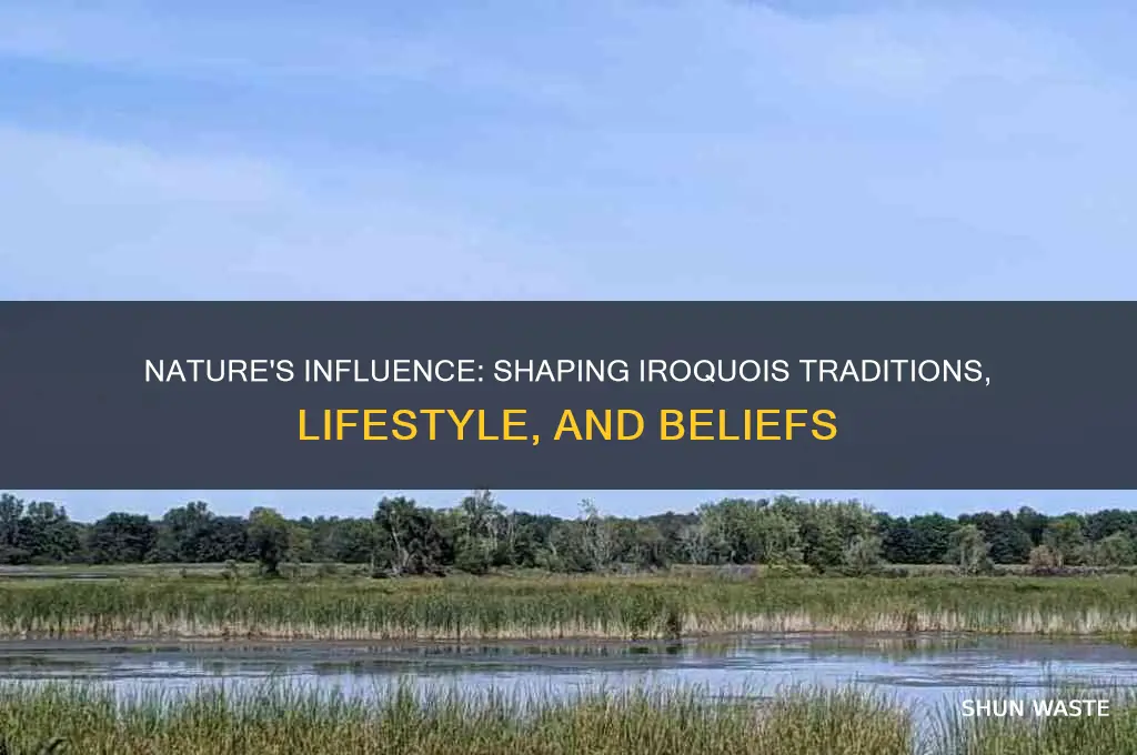 Nature's Influence: Shaping Iroquois Traditions, Lifestyle, And Beliefs ...