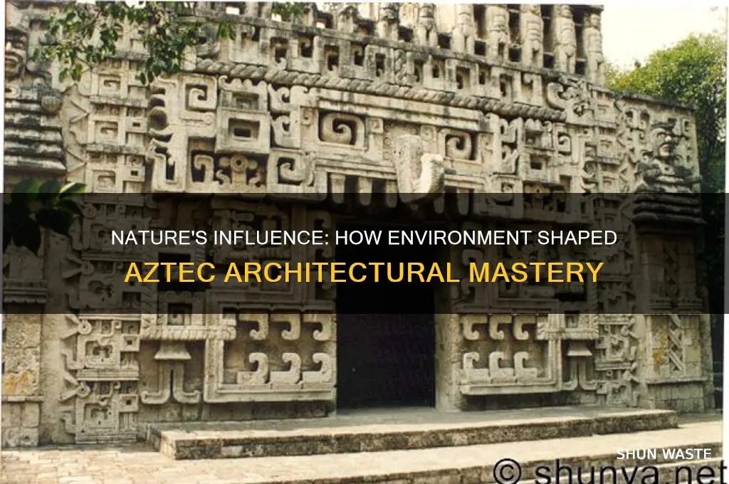 Nature's Influence: How Environment Shaped Aztec Architectural Mastery ...