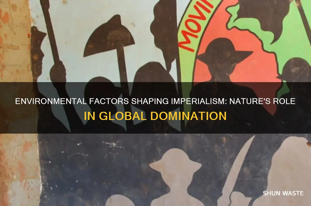 Environmental Factors Shaping Imperialism: Nature's Role In Global ...
