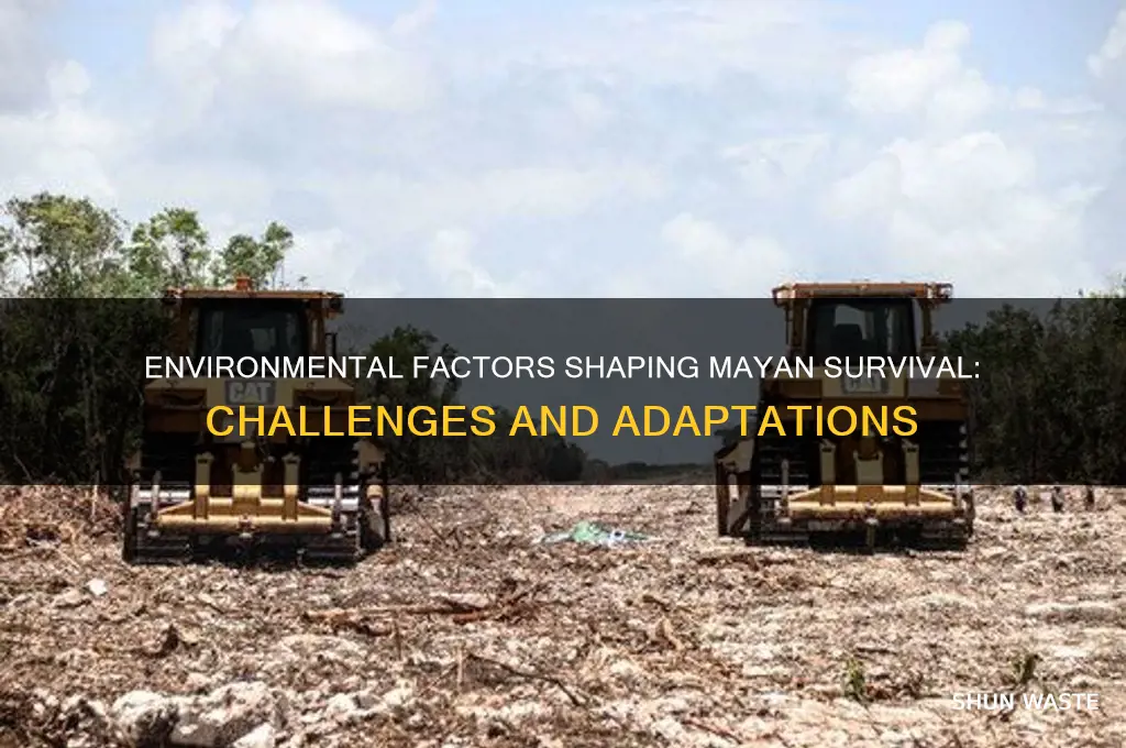 Environmental Factors Shaping Mayan Survival: Challenges And ...